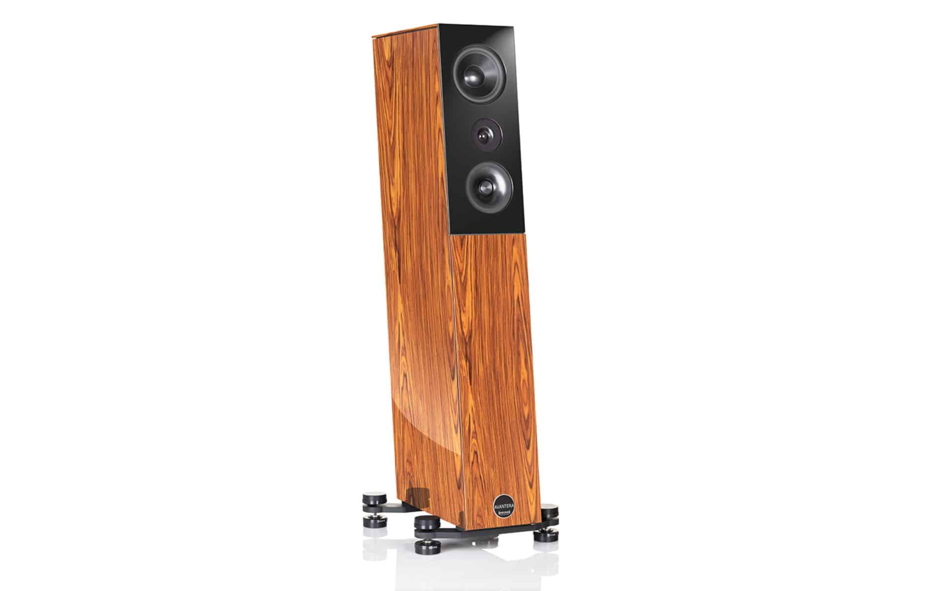 Audio Physic Avantera: A High-Tech Floor-standing Loudspeaker that You ...