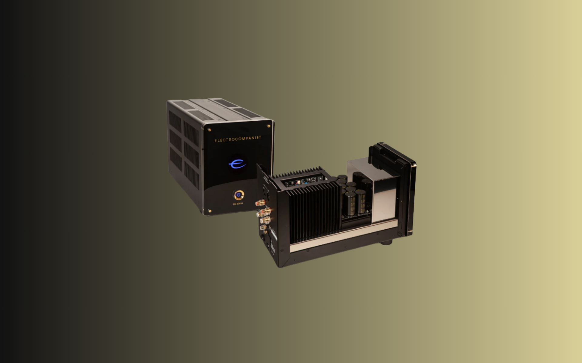 Introducing the Electrocompaniet AW 300 M